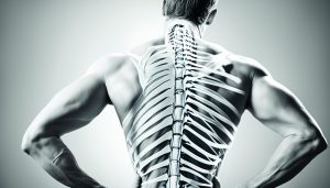 Why Does My Back Crack So Much When I Twist? | Causes & Relief!